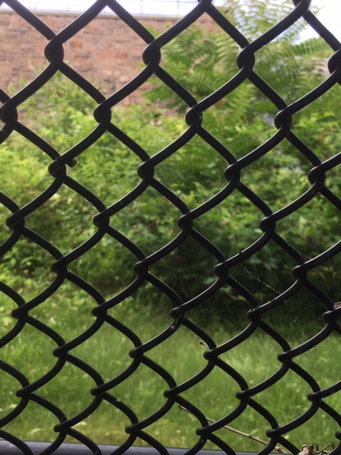 Forever Now – Hamden – SomethingProjects