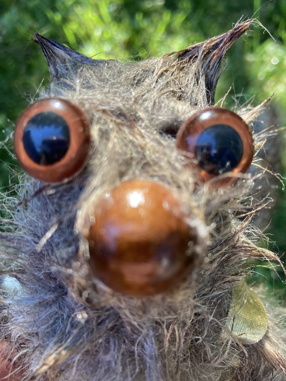 The Great Squirrellini – Hamden – SomethingProjects